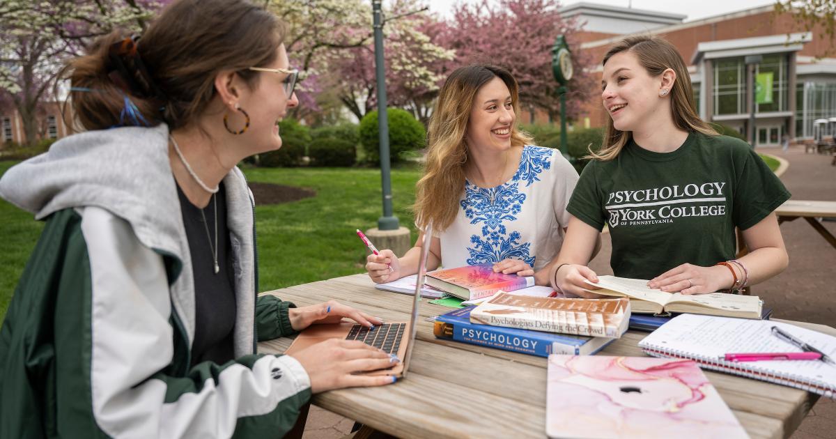 School of the Arts, Humanities, Education, and Social Sciences | York ...
