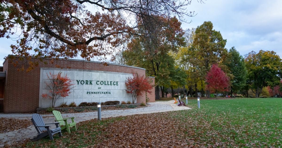 College Launches Initiative to Foster Unity and Partnership Across All ...